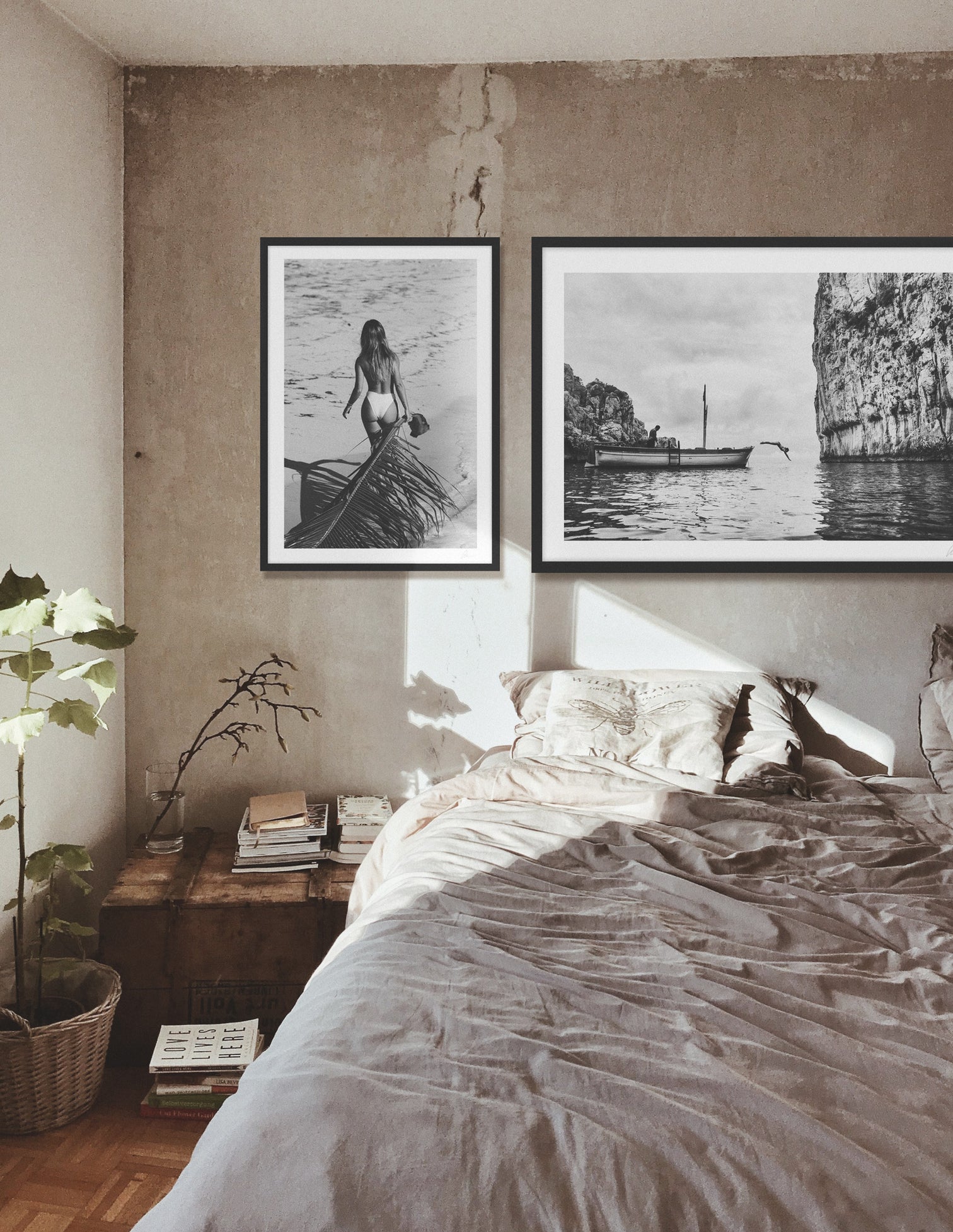 Collections – HAXTON